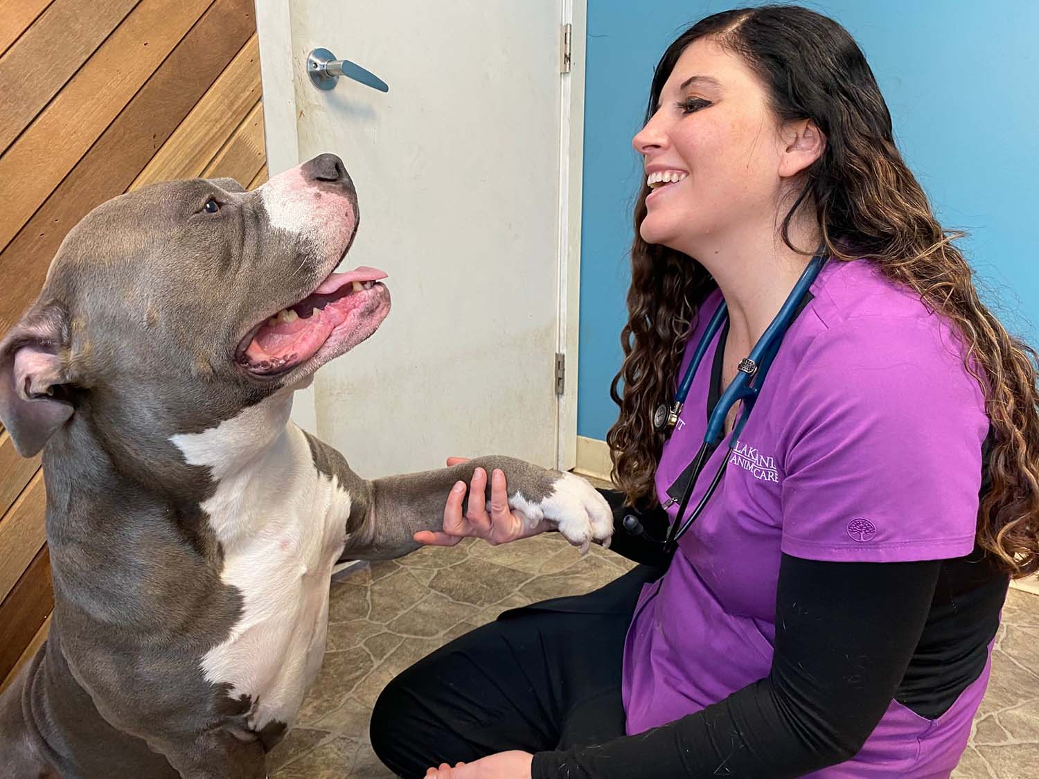 Pet Insurance | Lakeland Animal Care